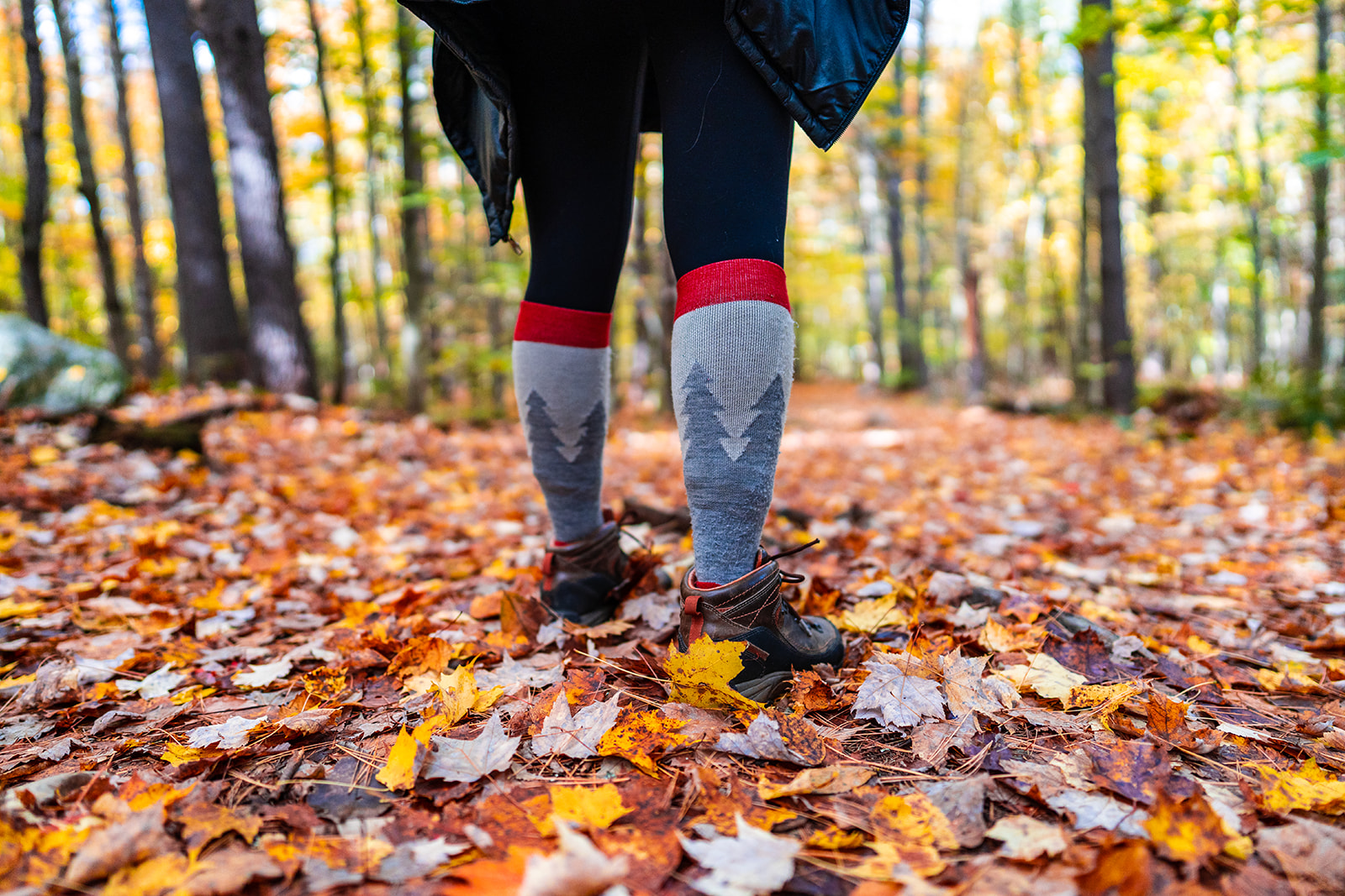 Off-Site Activities Near Mill Falls | Explore Lake Winnipesaukee